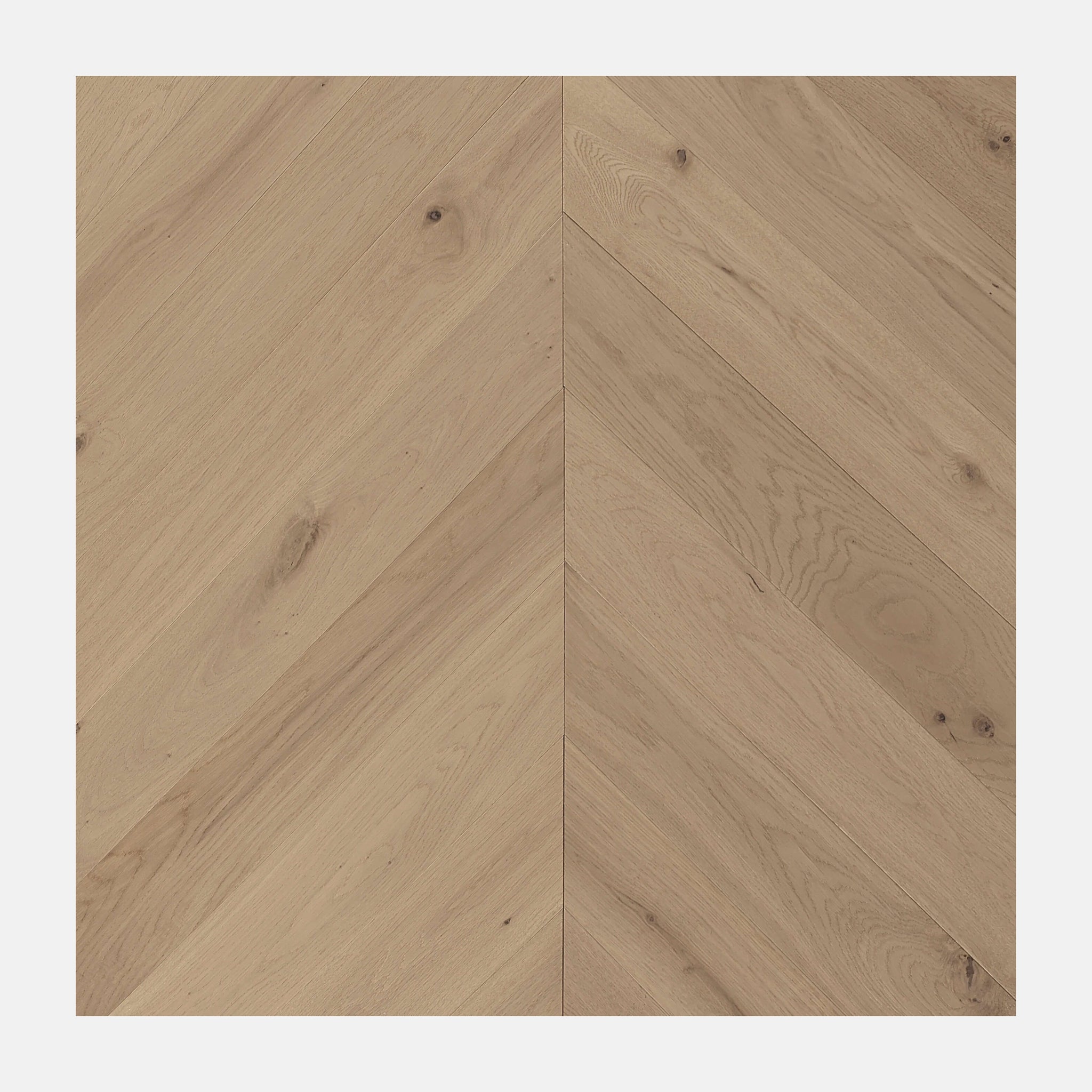 Ivory Steed Chevron European Oak Engineered Flooring British Oak Natur